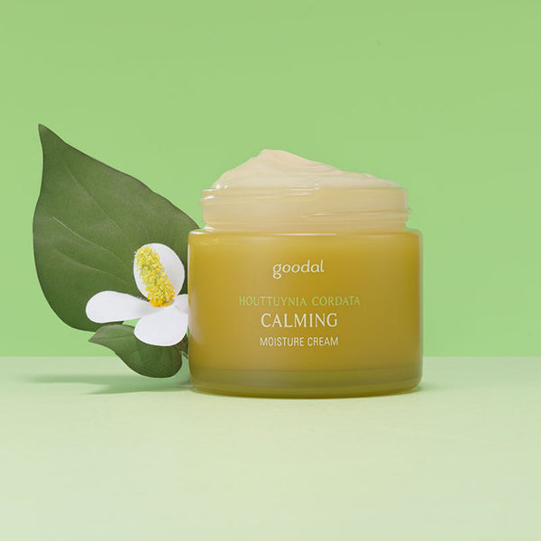 Goodal Houttuynia Cordata Calming Moisture Cream | Masksheets